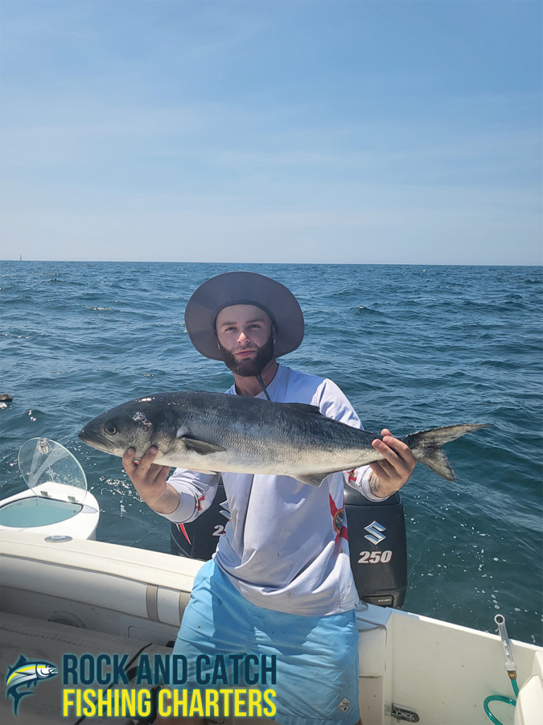 Gallery - FV Rock and Catch